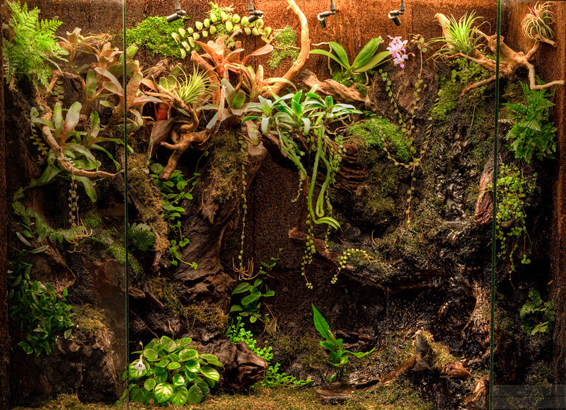 Background NZ Tree Fern Panels – BioVivara